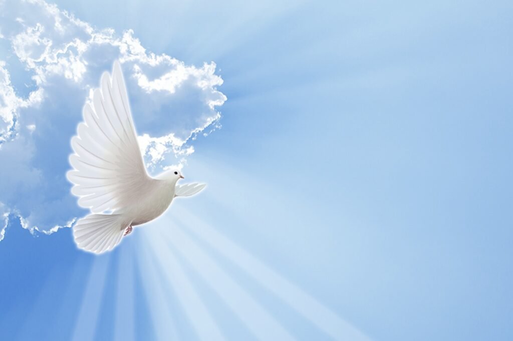 Keep yourself pure - Free Gift From God